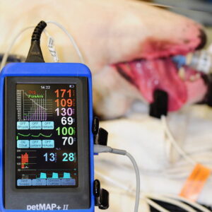petMAP+ II | petMAP
