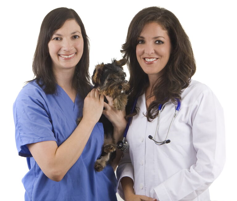 Home | petMAP